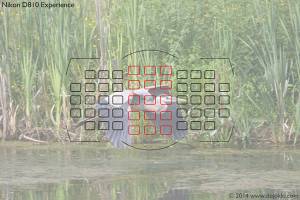 Nikon D810 Tutorial - Step by Step Explained in Detail