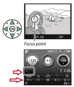 Focus Modes Tutorial for Nikon DSLR