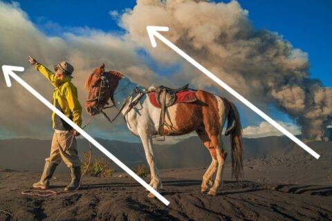 10 Amazing Rules of Photography for Beginners and Pro